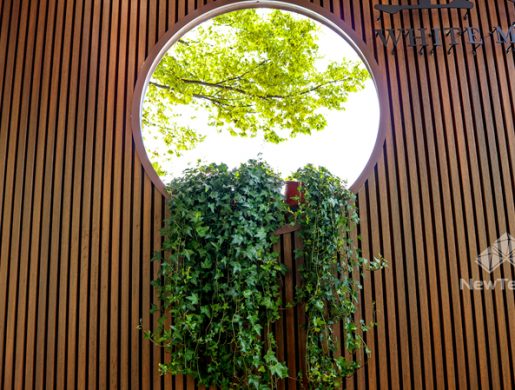 European Style Composite Wood Siding | Wall Cladding | NewTechWood